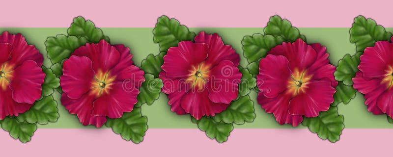 Spring Primrose Border Stock Illustrations – 406 Spring Primrose Border ...