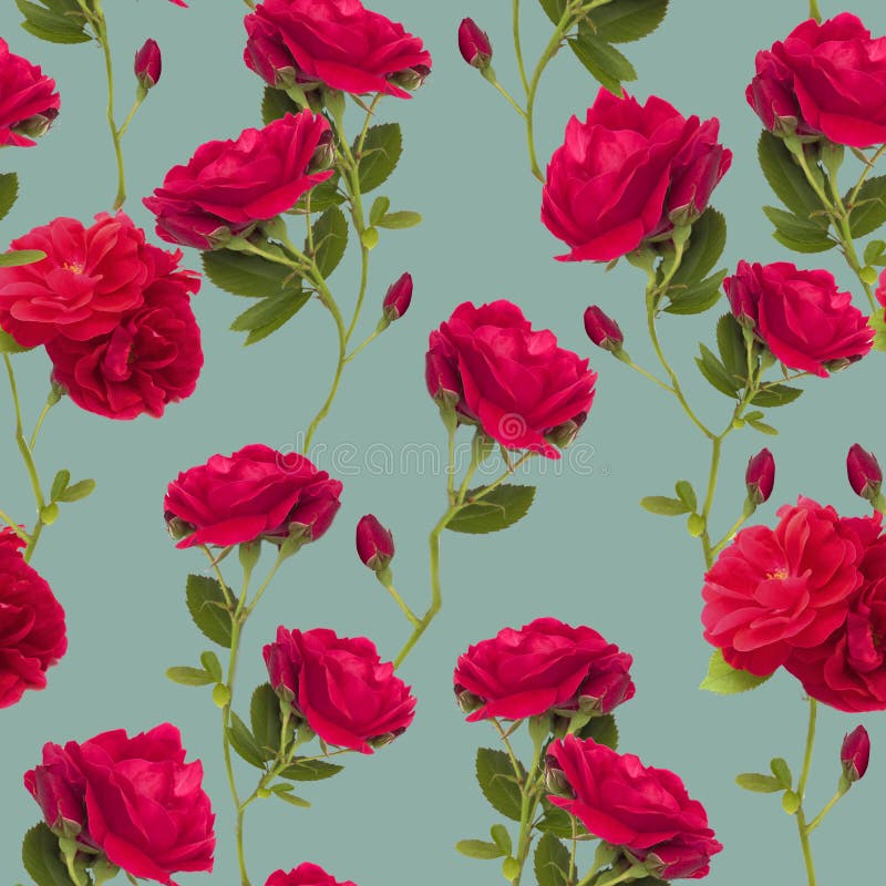 Pattern of red roses stock image. Image of ornament - 202282675