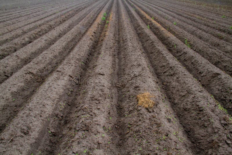 Field with Ridges and Furrows Stock Image - Image of industrial ...
