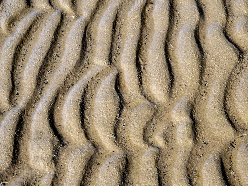 Pattern of Ridges on a Sandy Beach Stock Image - Image of ridges ...