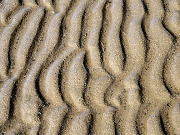 Pattern of Ridges on a Sandy Beach Stock Image - Image of ridges ...