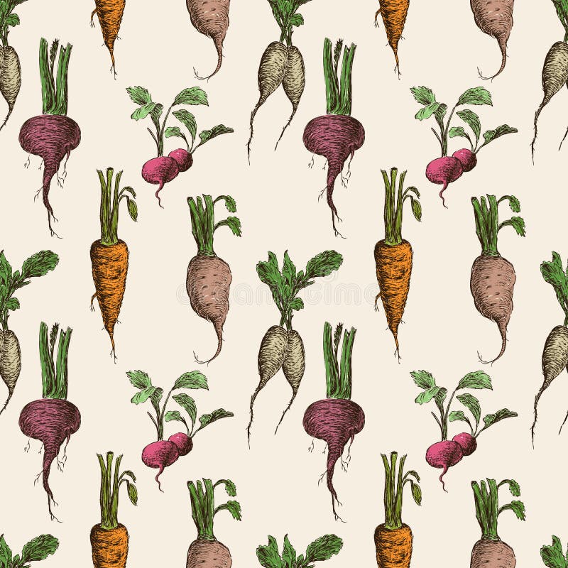 Pattern of the ripe roots stock vector. Illustration of drawn - 86472288