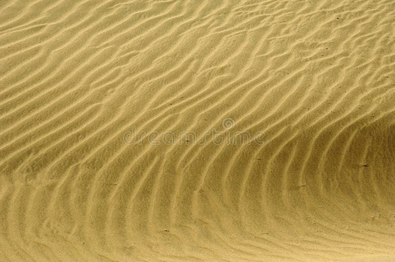Pattern in sand stock image. Image of pattern, grain, adventure - 2921477