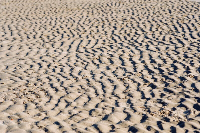 Pattern of sand wave stock photo. Image of summer, sand - 61185420