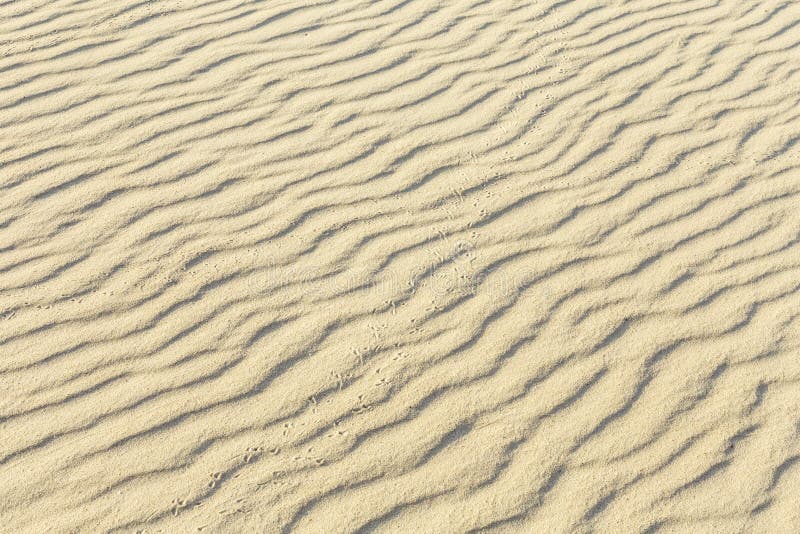 Pattern of sandy beach stock photo. Image of relax, sand - 43118768