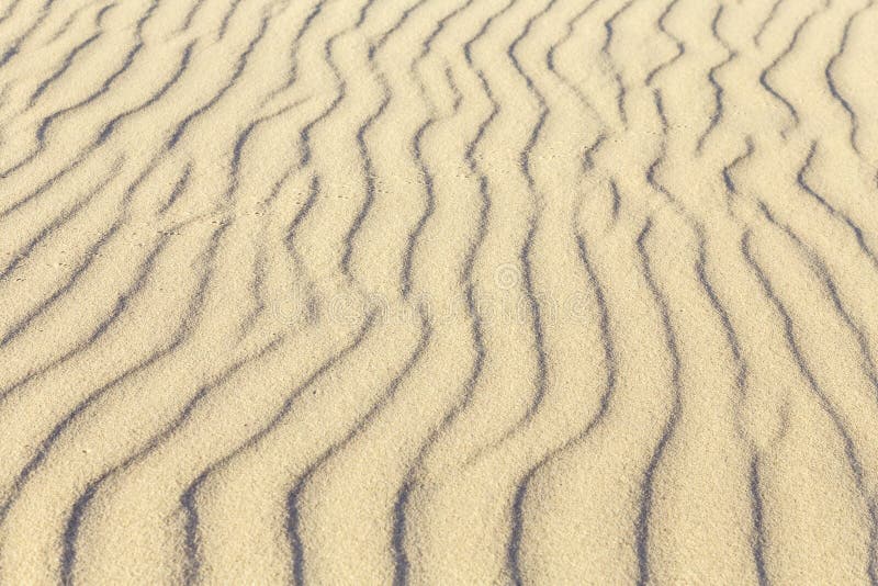 Pattern of sandy beach stock photo. Image of holiday - 43119078