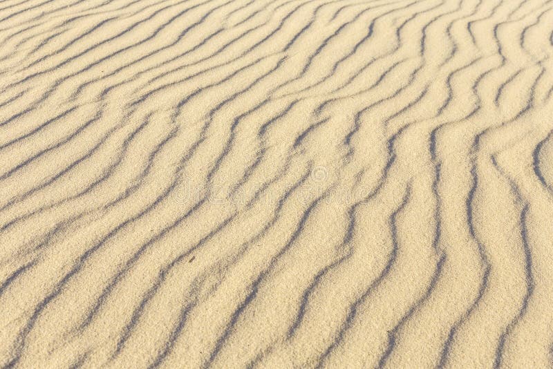 Pattern of sandy beach stock photo. Image of health, path - 43119200
