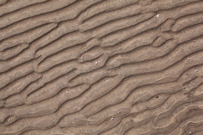 Pattern of the Sandy Ocean Floor at Low Tide Stock Image - Image of ...