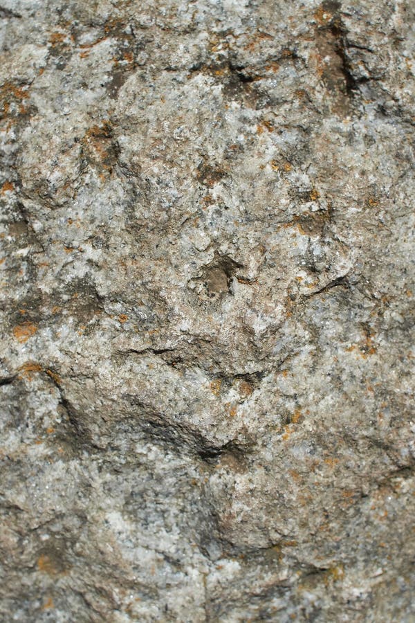 Seamless Rock Face Texture