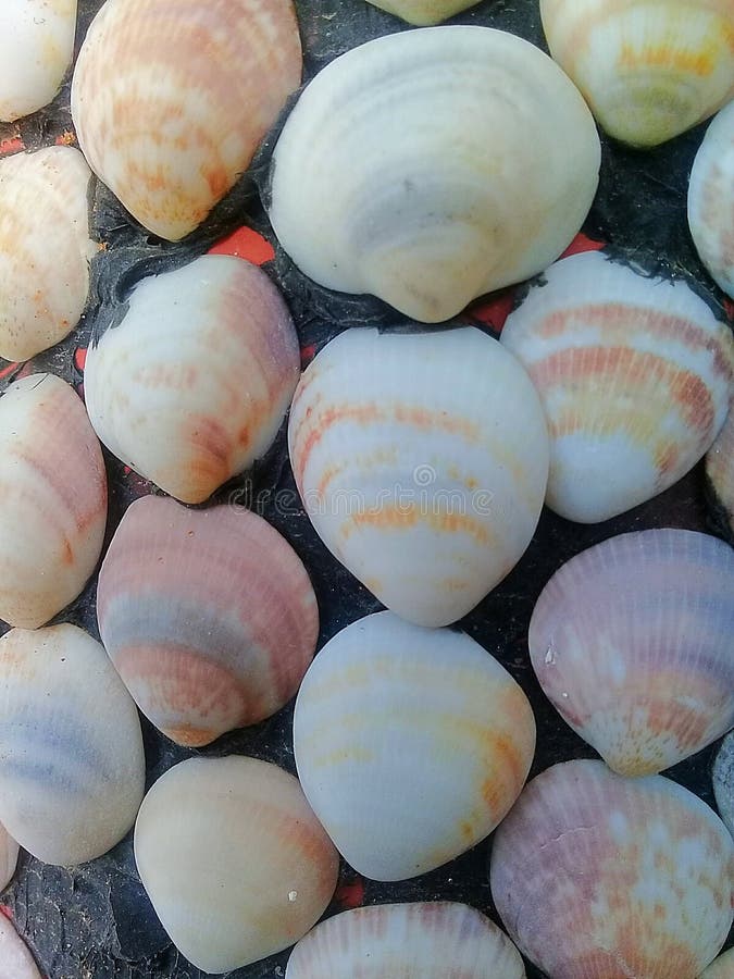 Natursl Pattern Stock Photos - Free & Royalty-Free Stock Photos from ...