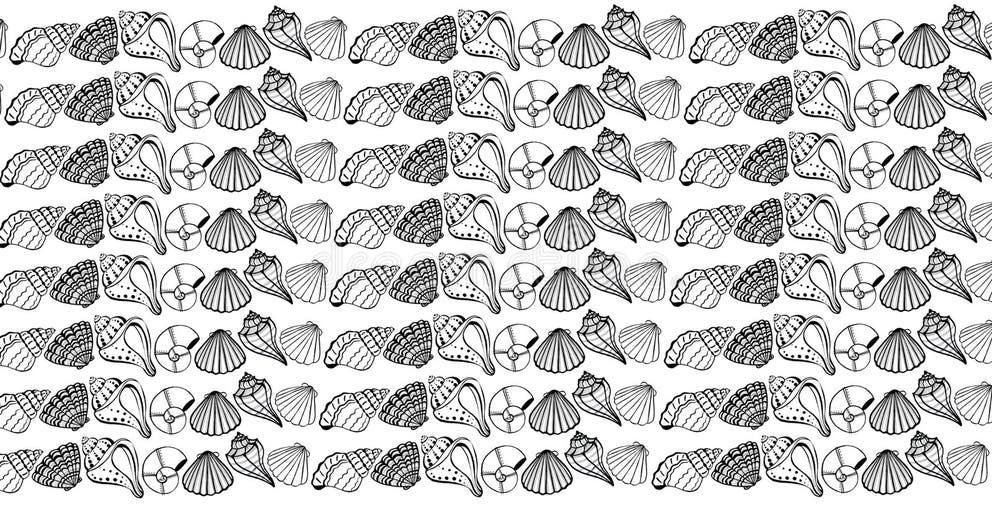A Pattern of Shells of Different Shapes. Drawing with a Black Outline ...