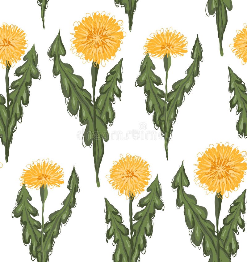 Pattern with Sketched Yellow Dandelions with Leaves in Row on White ...