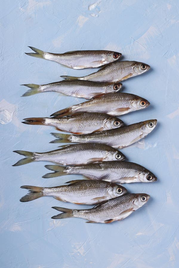Pattern of Small Fish on a Blue Background, Top View, Vertical ...