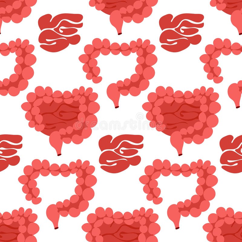 Pattern with Small and Large Intestine. Congenital Colon Disease Caused ...