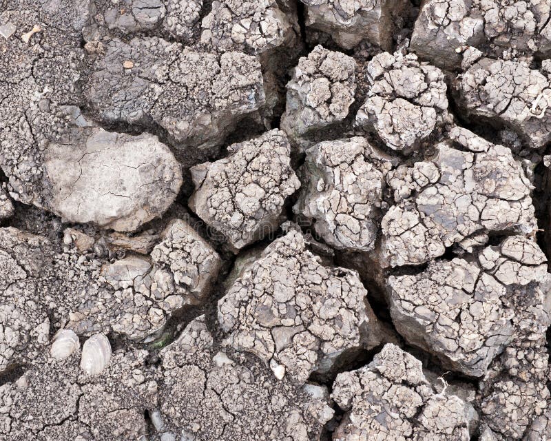 Dry Pattern Mud Closeup Texture Stock Image - Image of arid, drought ...