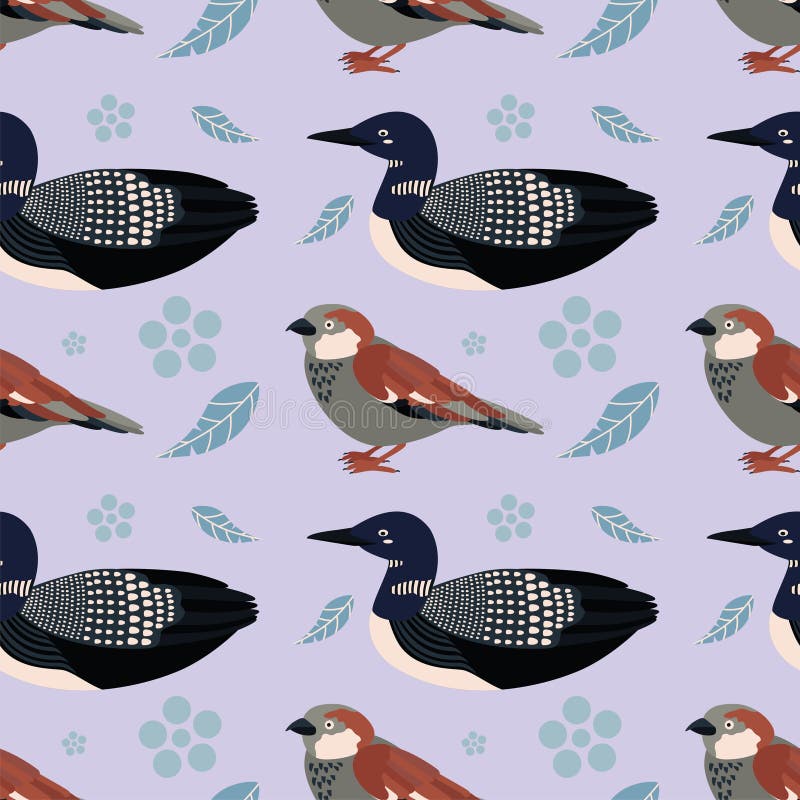 Pattern with Sparrow, Loon Bird Stock Vector - Illustration of graphic ...