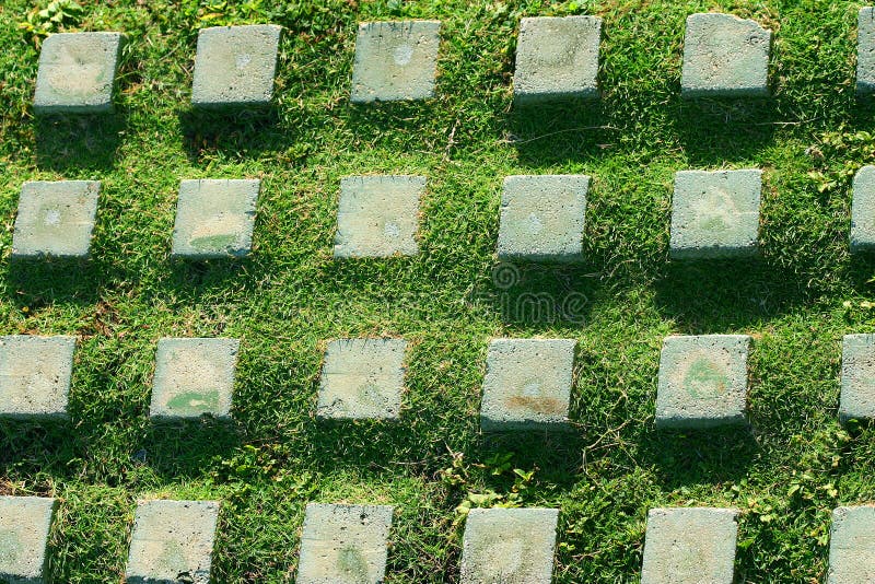 Pattern stone and grass stock image. Image of rock, stone - 55121