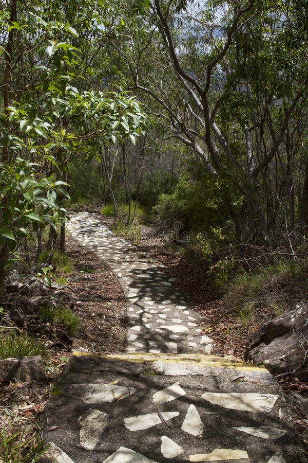 Pattern in the Stone Walking Path, Mount Tinbeerwah Stock Image - Image ...