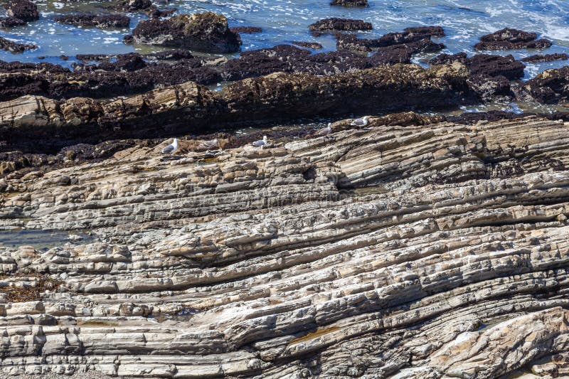 Pattern of Stones at the Coast in Different Layers Stock Photo - Image ...