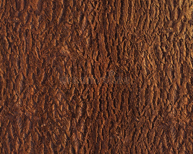 Pattern and Structure of Willow Bark. Stock Photo - Image of gray ...