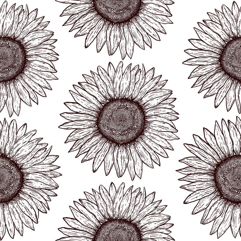 Pattern with sunflowers . stock vector. Illustration of linocut - 255357760