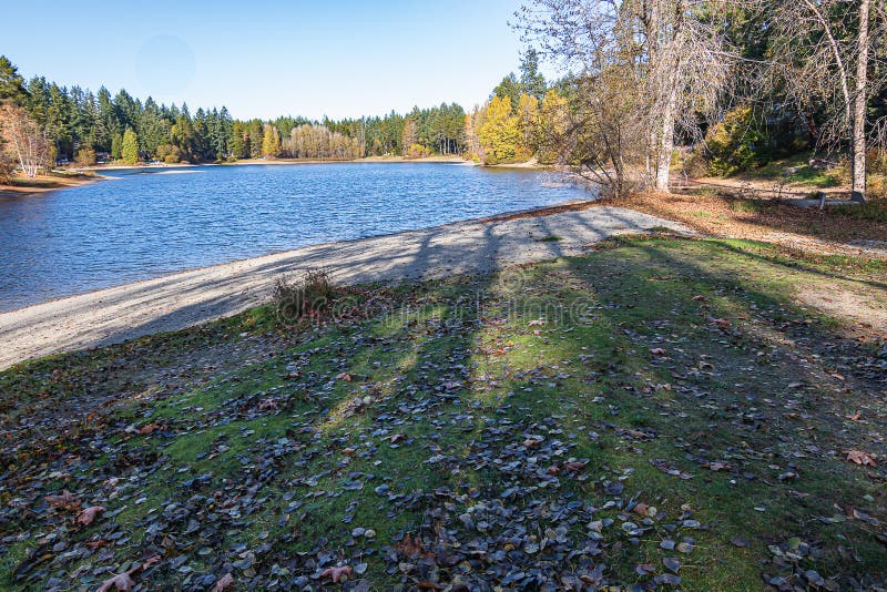 Pattern of Sunlight and Shadow Leading To Lake with Forest Stock Photo ...