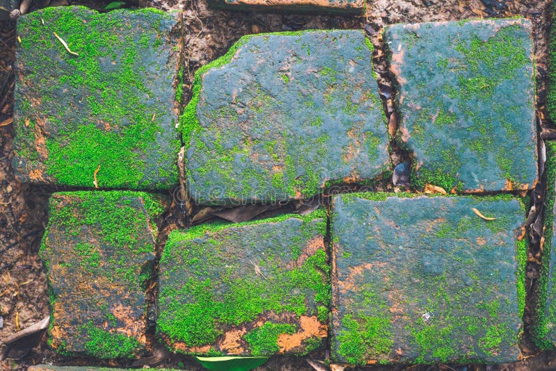 Pattern and Texture of Brick with Moss for the Background. Stock Photo ...