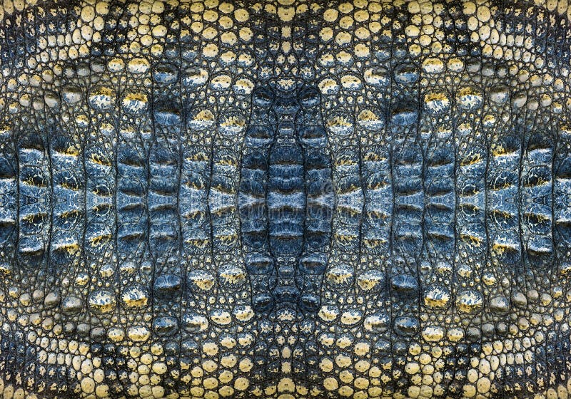 Pattern and Texture of Crocodile. Stock Image - Image of yellow, green ...