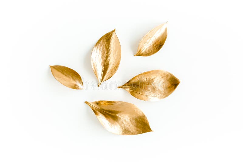 Pattern, Texture with Gold Leaves Isolated on White Background. Flat ...