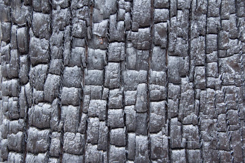 Charcoal pattern texture stock photo. Image of pattern - 97959448
