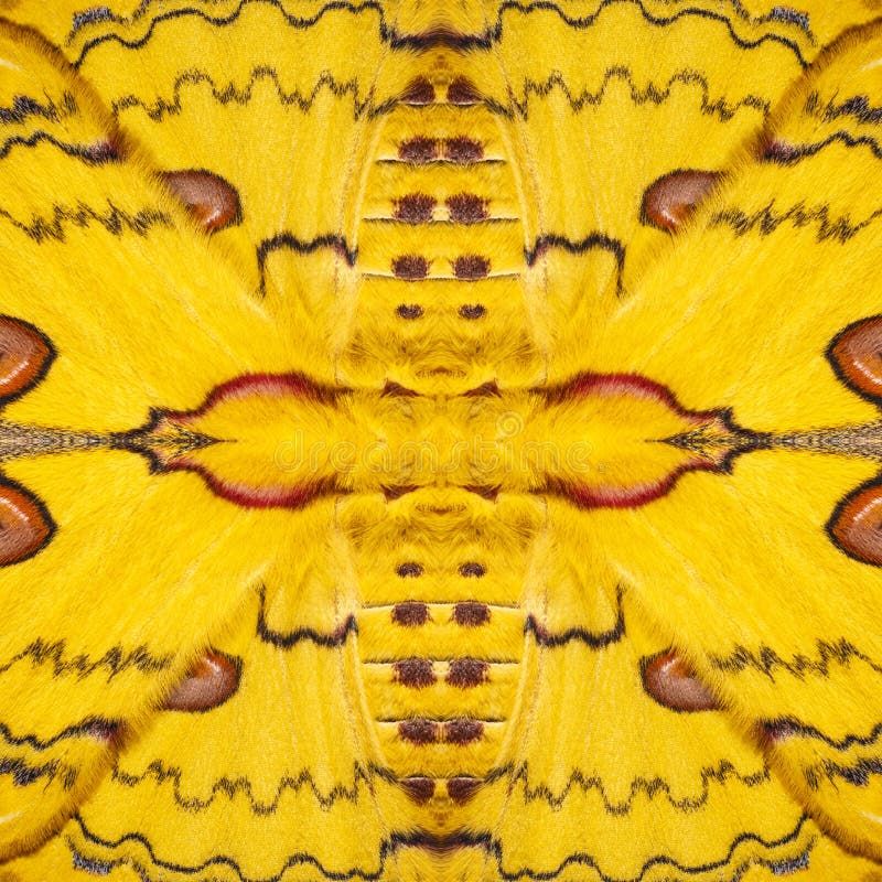 Sikkim Pattern Stock Illustrations – 130 Sikkim Pattern Stock ...