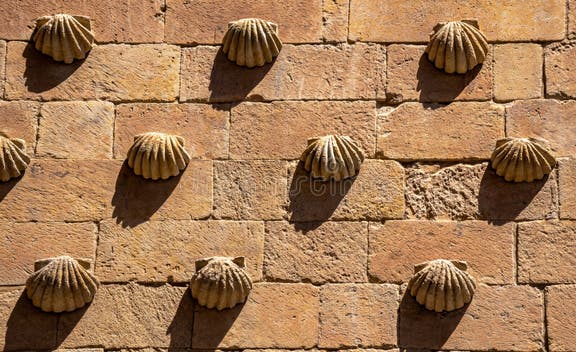 Pattern of Three Horizontal Rows of Granite Shell Moldings on the Wall ...