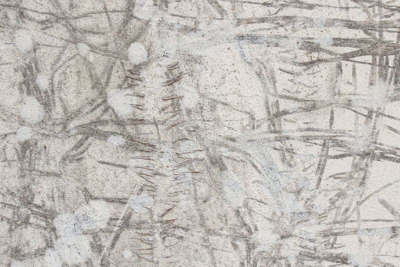 Pattern of Tree Roots on Wall Concrete Old Stock Image - Image of ...