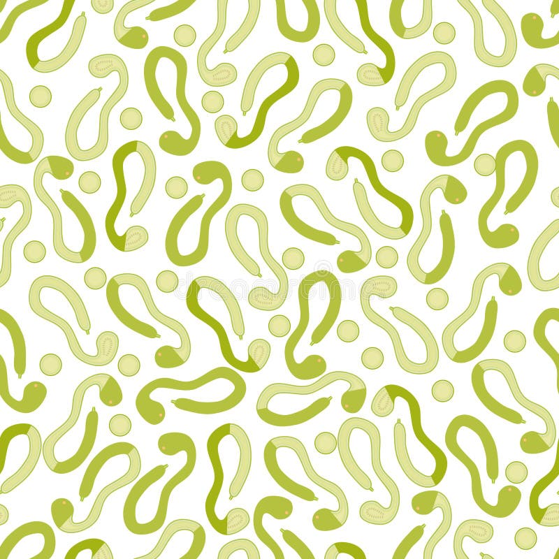 Zucchetta Rampicante Stock Illustrations – 11 Zucchetta Rampicante ...