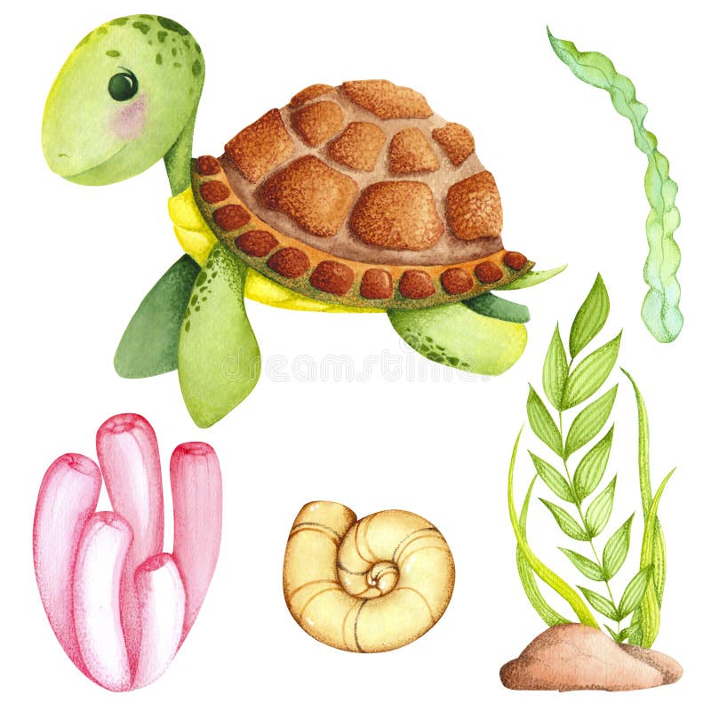 Colorful Tortoise Clip Art Stock Photos - Free & Royalty-Free Stock ...