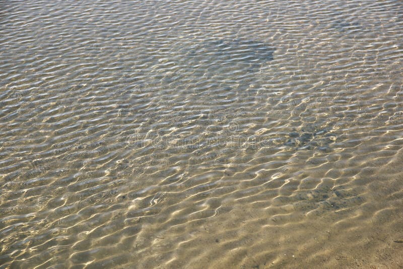 Pattern of Very Small Waves at the Shore of Texel, Holland. Stock Photo ...