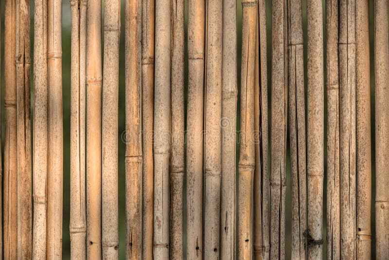 Pattern of Vintage Bamboo Panel Stock Image - Image of lumber ...