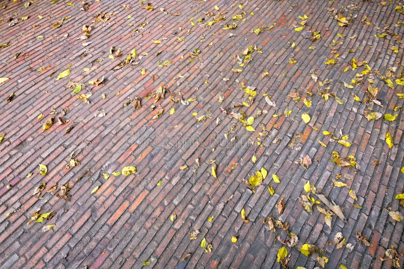 Pattern of the Walkway in the Park. Stock Image - Image of closeup ...