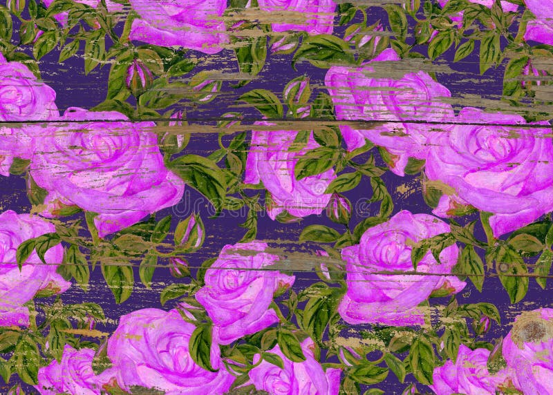 Pattern of Watercolor Purple Roses on Wood Texture Stock Image - Image ...