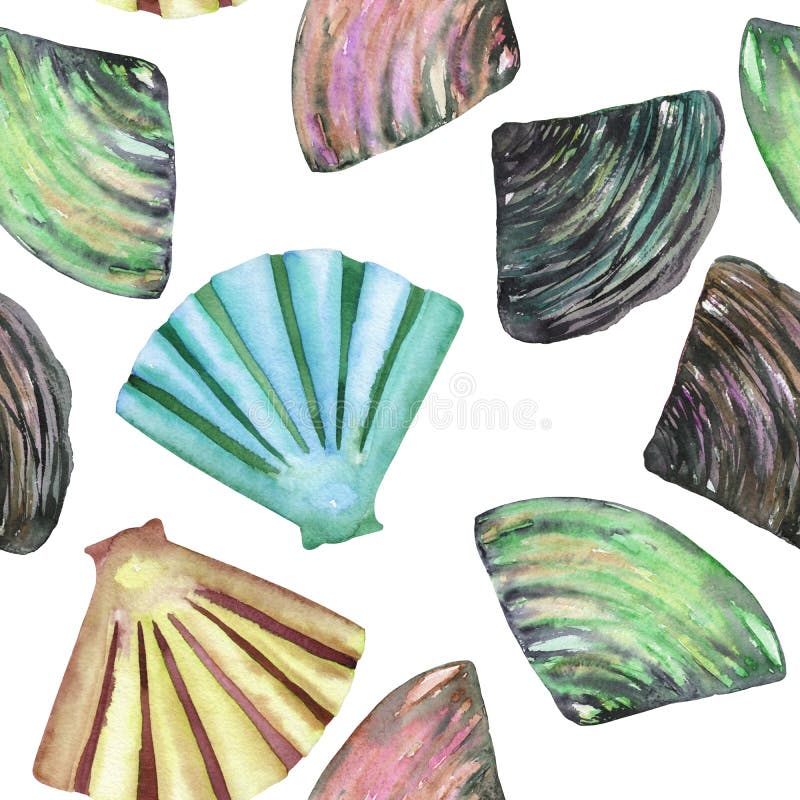Mussel Drawing Green Background Stock Illustrations – 67 Mussel Drawing ...