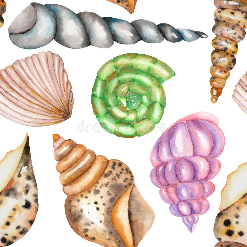 A Pattern with the Watercolor Shells Stock Illustration - Illustration ...