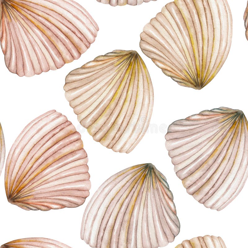 A Pattern with the Watercolor Shells Stock Illustration - Illustration ...