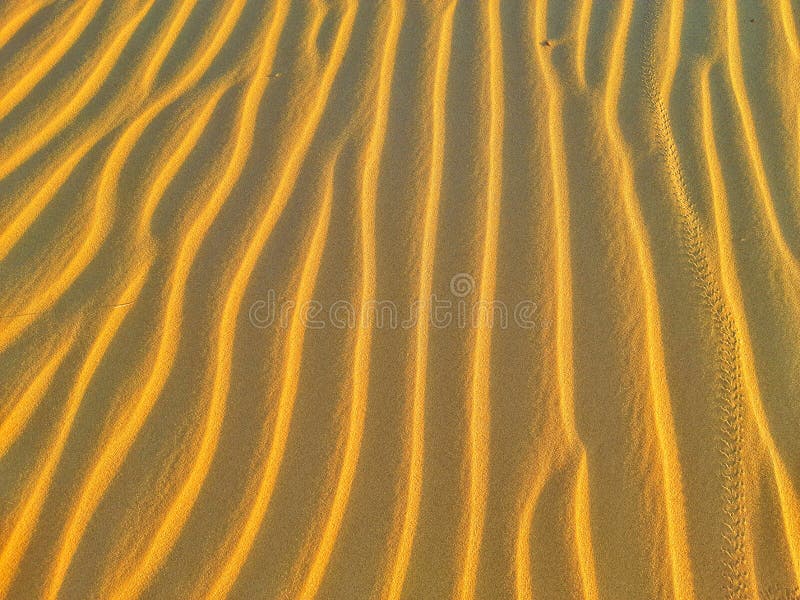 Pattern Waves in Sahara Desert of Algeria Stock Photo - Image of yellow ...