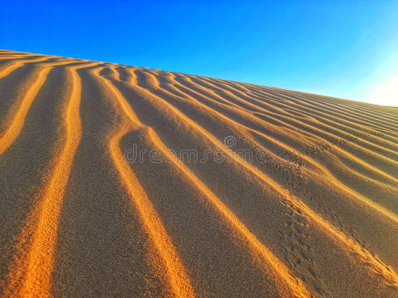Pattern Waves in Sand Dunes on Desert of Algeria Stock Image - Image of ...