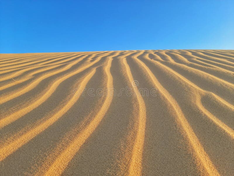 Pattern Waves in Sand Dunes on Desert of Algeria Stock Image - Image of ...