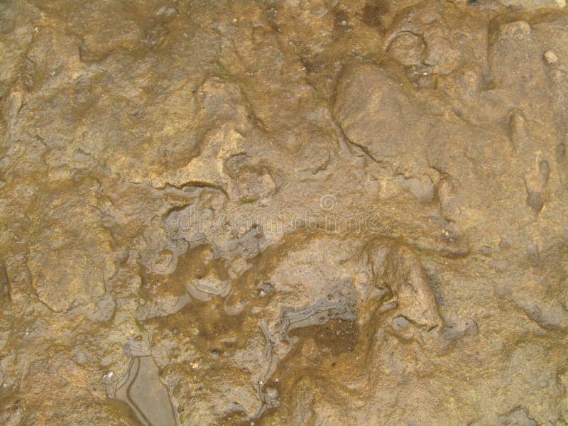 Pattern Raw Beige Stone Texture Background Details Stock Photos - Free ...