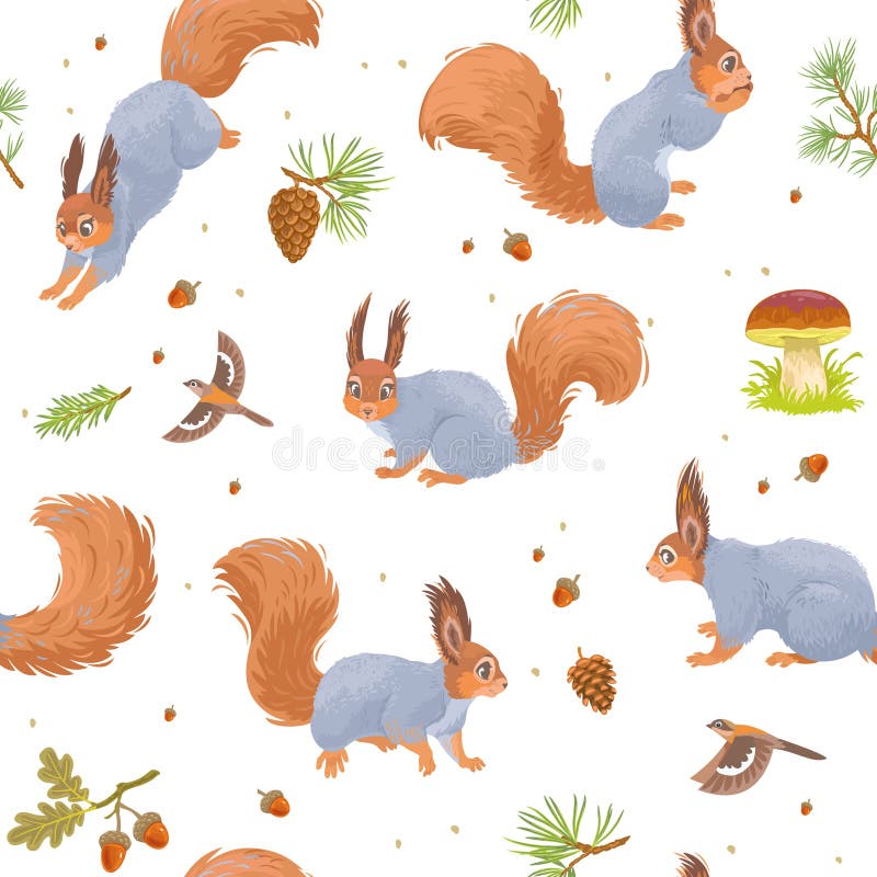 Pattern wh squirrel stock vector. Illustration of animal - 362872113