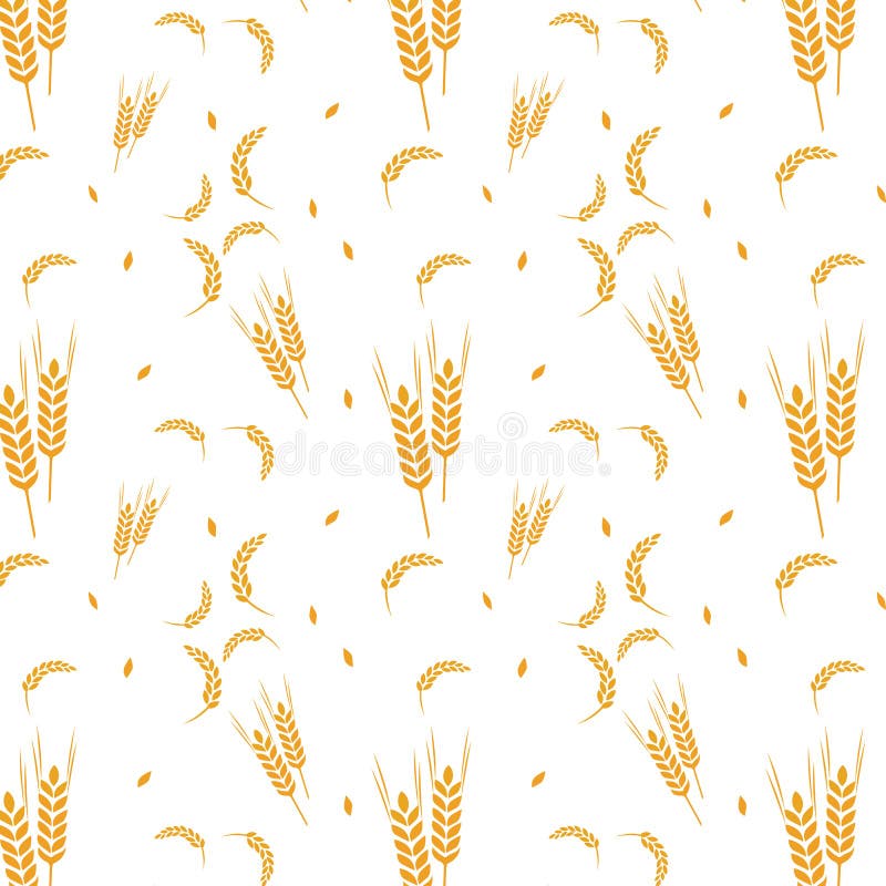 Pattern Wheat Grain Harvest Stock Vector - Illustration of food ...