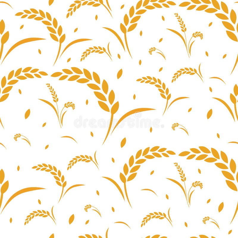 Pattern Wheat Grain Harvest Stock Vector - Illustration of healthy ...