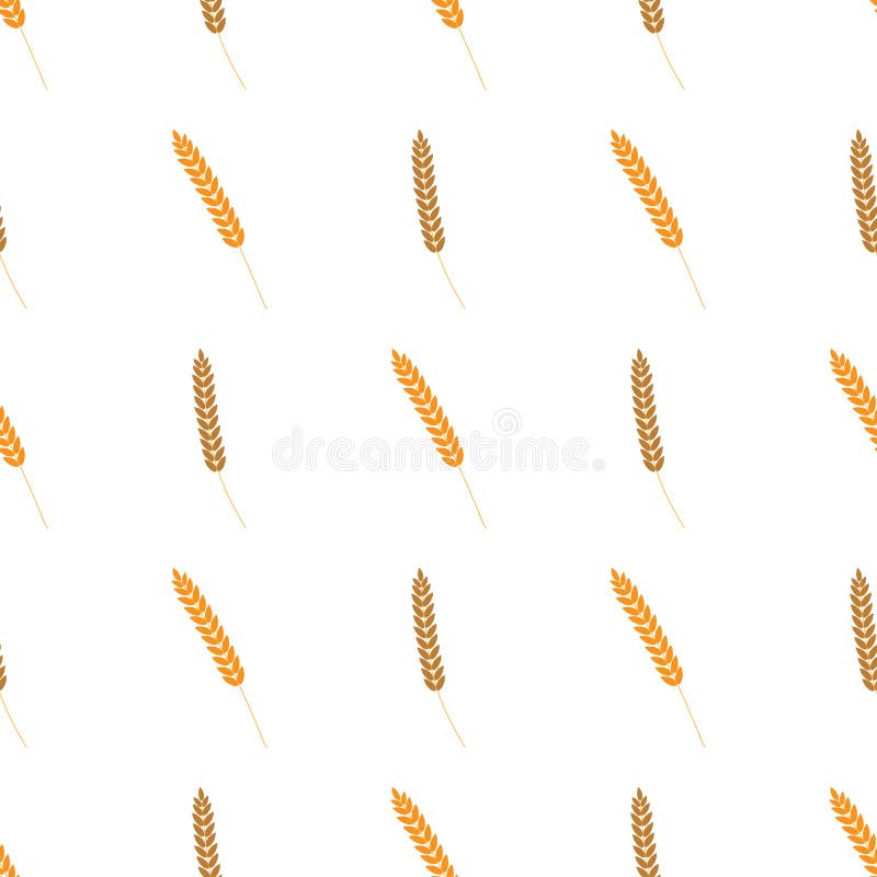 Pattern Wheat Grain Harvest Ears Bread Autumn Stock Illustration ...